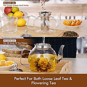 HIWARE 1500ml Glass Teapot with Removable Infuser, Stovetop Safe Tea Kettle, Blooming and Loose Leaf Tea Maker Set