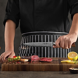 Wakoli Kitchen Knife Set, 4 Pieces Professional Chef Knife Set made from 67 Layers of Damascus Steel with VG10 Core, Damascus Knife with Ergonomic Pakkawood Handles in Wooden Gift Box (EDIB Pro 4-pcs)