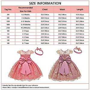 MYRISAM Baby Girls Birthday Wedding Party Dresses w/Headwear Princess Embroidery Bowknot Dress Christening Baptism Tutu Gown Pink 12-18M