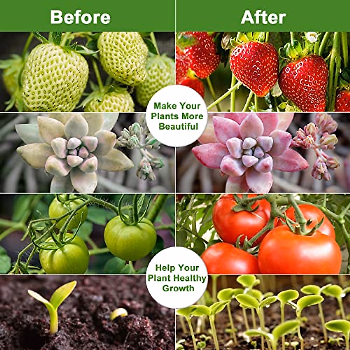 Grow Light for Indoor Plants, SUWITU 6000k Full Spectrum Plant Light, Clip-on Led Grow Lights, Plant Grow Light for Succulents Small Plants, Auto On/Off Timing, 1 Head 3 Lighting Modes & 10 Dimming