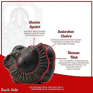 Vedic Vaani The Rarest Sculpture Laksmi Narayana Sacred Blessings Shaligram (Pack of 3)