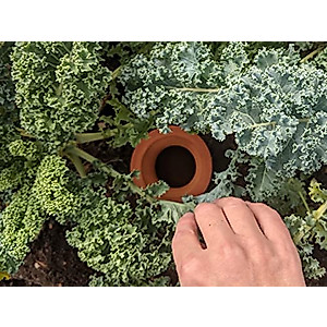 Clay Olla - Quart Sized - Ideal for Elevated Garden Planters, Grow Bags or 14" - 18" Pots