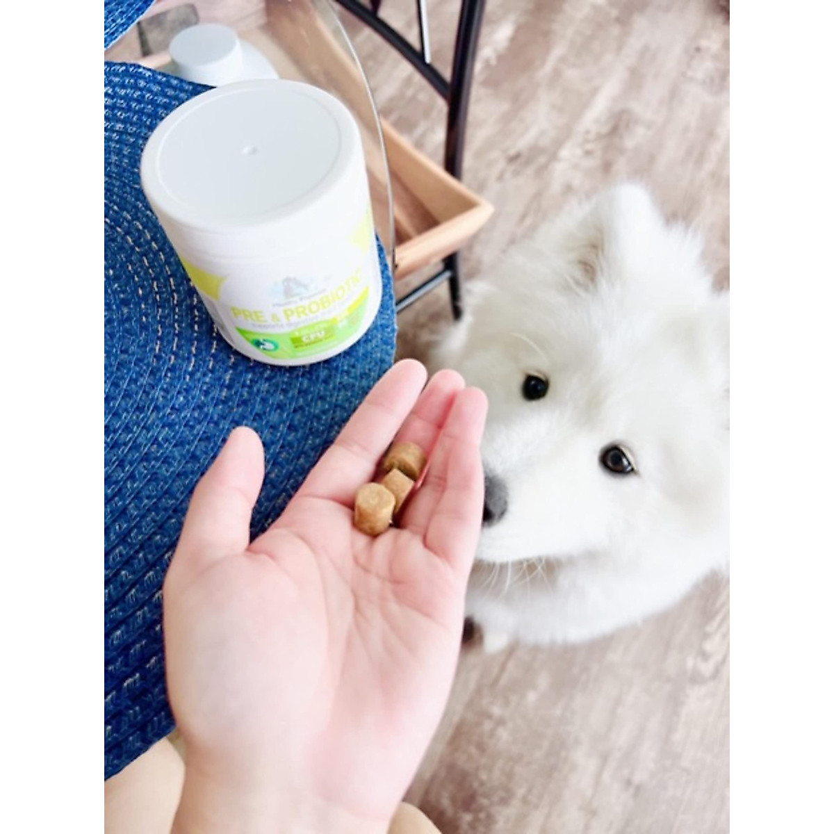 Four Paws Healthy Promise Pre and Probiotics for Dogs Soft Chews 90 Count