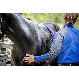 exhibitor's Quic Black Shampoo 16 Ounce Color Enhancing For Dark Coats (321266)