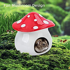 Niteangel Ceramic Hamster Habitat Hideout: - Hideaway House for Syrian Dwarf Hamster Mice Gerbils Lemmings or Other Similar-Sized Small Pet (Mushroom-Shaped)
