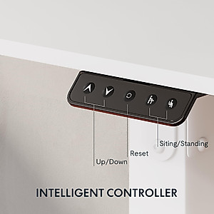 FLEXISPOT Dual Motors 4 Legs Standing Desk 63x30 Inch Adjustable Height Desk with Splice Board Home Office Computer Workstation Electric Sit Stand up Desk, White Top + White Frame