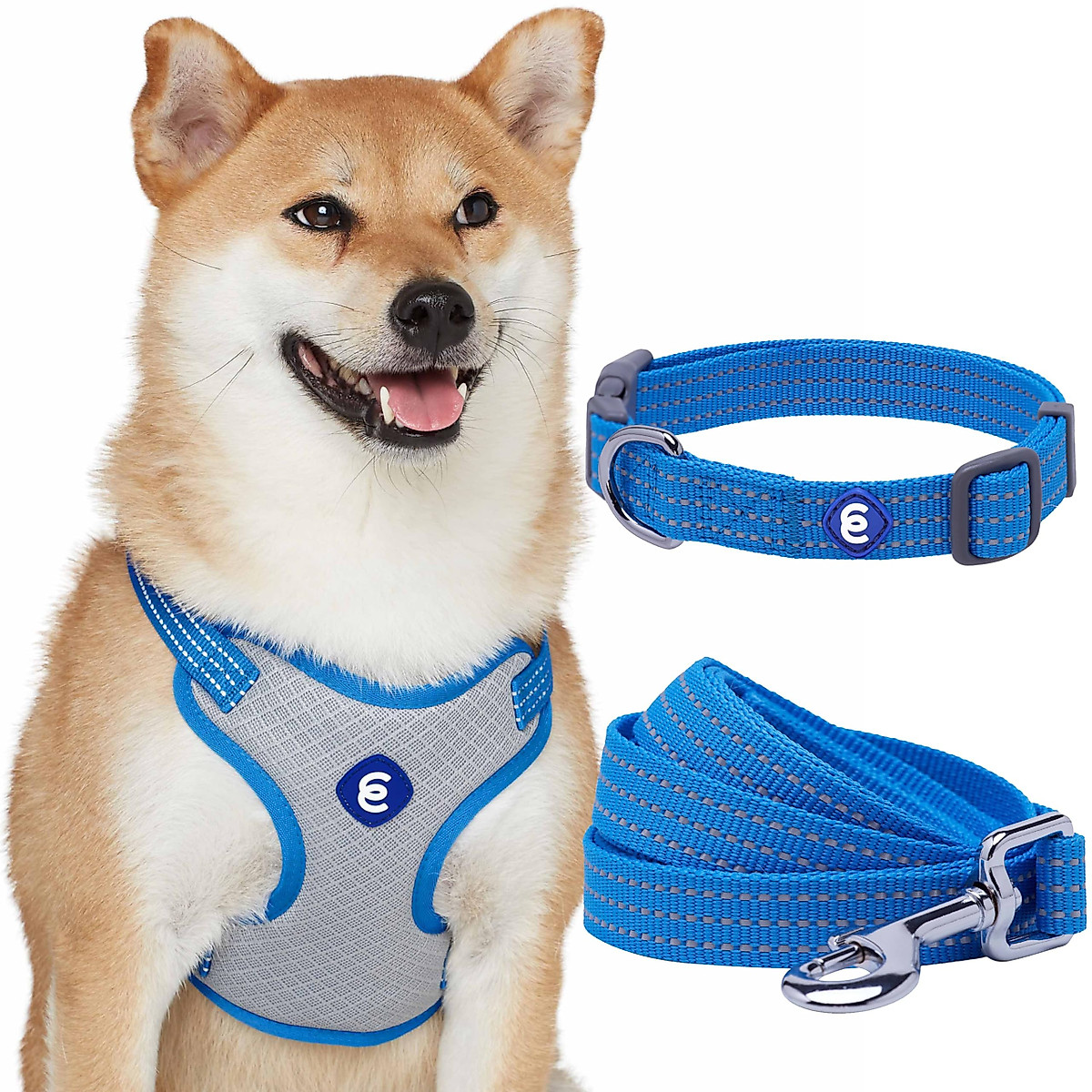 Blueberry Pet Essentials Reflective Better Basics Matching Dog Collar Leash Harness Set in French Blue, Adjustable Collar with Harness & 5 ft Leash for Medium Dogs