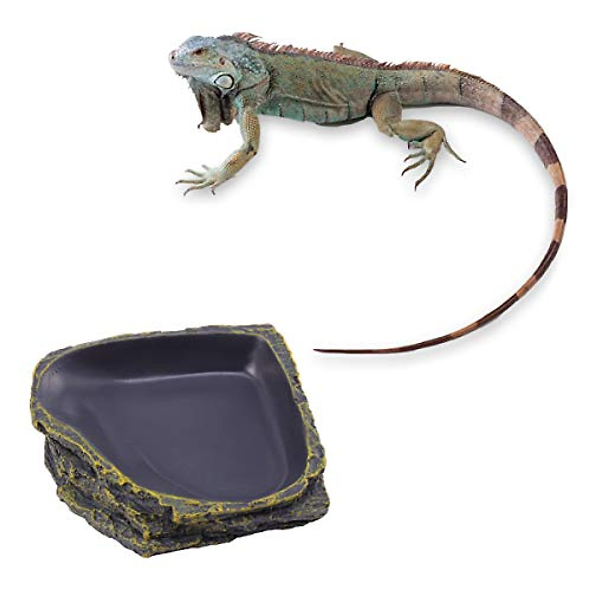 POPETPOP Reptile Food Dish Terrarium Water Bowl Food Feeding Plate Container Drinking Water Tray Resin for Snake Tortoise Frog