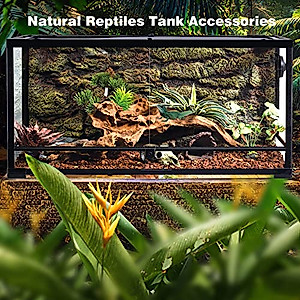 Hiwzitar Natural Large Coral Driftwood for Aquarium Decor, 10-15 Inch Length Branches for Fish Tank Reptile Decorations 2 PCS