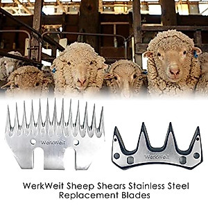PetierWeit Sheep Shears Blades 2pcs Professional Sheep Clipper Blade Replacement Heavy Duty Stainless Steel Sheep Shears Replacement Blades for Shaving Hair in Sheep, Goats and Pet Livestock