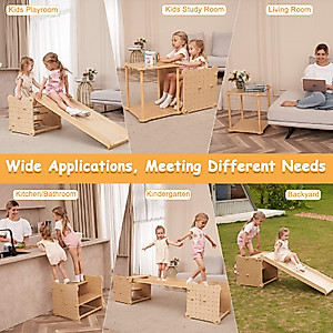 Dripex Toddler Climber, 5 in 1 Cube Climber with Reversible Slide Montessori Kids Jungle Gym and Toddler Climbing Toys Indoor Outdoor for Age 1-3