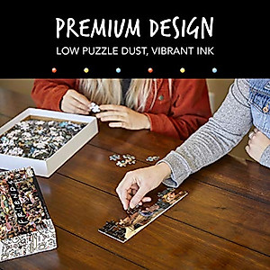 Friends TV Show Collage Jigsaw Puzzle 1000 Pieces Officially Licensed Friends TV Show Merchandise