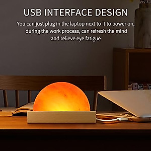 Himalayan Pink Salt Lamp Night Light, Natural Crystal Rock Salt Lamp Dimmable, Negative Ion Crystal Salt Lamp for Home Decoration, Ideal Gift for Friends