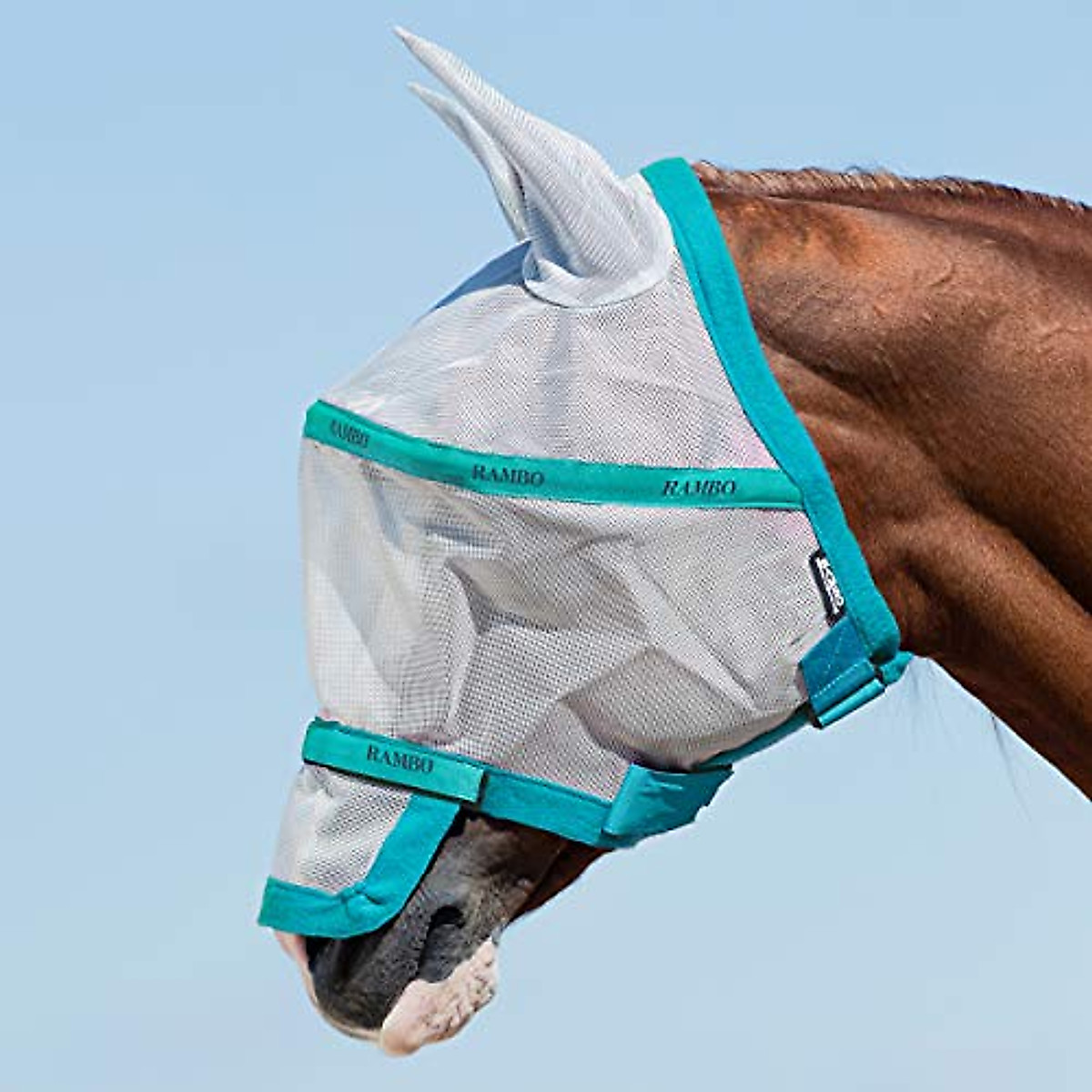 Horseware Ireland DMAF15-IBWM-HO Rambo Plus Flymask Aqua Horse