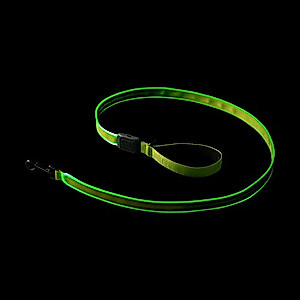 Nite Ize NiteDog Rechargeable LED Leash, USB Rechargeable 5 Foot Light Up Dog Leash w/Padded Handle, Lime