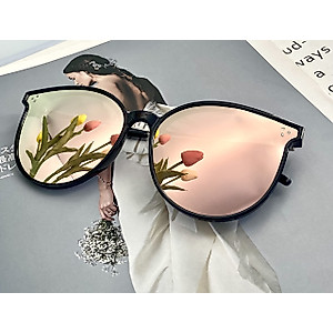 Dollger Polarized Cat Eye Sunglasses for Women Trendy mirrored Oversized UV Protection Fashion 90s Sunglasses PINK Shades