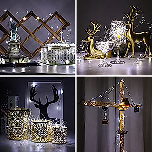 Ehome Fairy String Lights, 12 Pack Fairy Lights Battery Operated, 7.2ft 20LED Christmas Lights Silver Coated Copper Wire Lights Firefly Lights Moon Lights for Party Christmas Decorations White