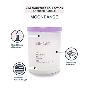 Mini Scented Candle by Studio Oh! - Moondance - 3.5-Ounce Coconut-Soy Blend Wax Scented Jar Candle for Home & Office or Travel - Burns up to 26 Hours