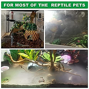 PetierWeit Reptile Fogger Large Tank Reptile Humidifiers Adjustable Fogger Mister for Reptiles Terrarium Humidifier with Extendable Hose Ideal for Reptiles Amphibians Vivarium