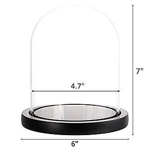 ZOOFOX Set of 2 Glass Dome Cloche with Black Wooden Base, 6" x 7" Decorative Bell Jar Display Dome for Plants, Fairy Lights, Photos, Succulents and Medals