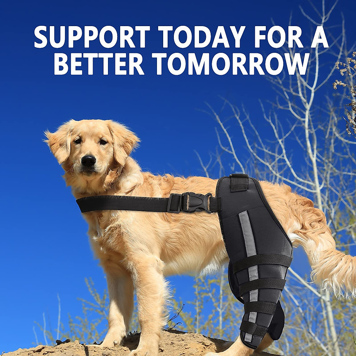 MewMewLand Dog Knee Braces for Pain CCL, ACL, Arthritis, Extra Support, Dog ACL Brace Hind Legs with Metal Side Stabilizers, Black Medium