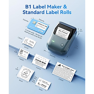 NIIMBOT B1 Label Makers, 2 Inch Bluetooth Label Maker with Auto Identification, Portable Label Printer Easy to Use for Office, Home, Business (with 1.96x1.18 inch Label Tape)