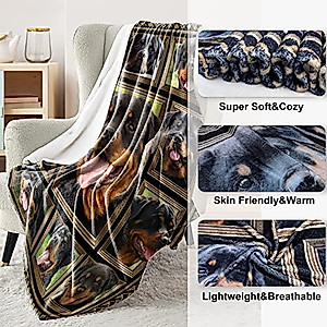 Rottweiler Blanket for Women Men, Rottweiler Gifts for Rottweiler Dog Lover, Super Soft Fuzzy Dog Throw Blanket Rottweiler Decor Plush Gift for Birthday Christmas 60x80 inch