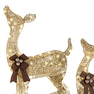 National Tree 28 Inches x 38 Inches Doe and Fawn Pine