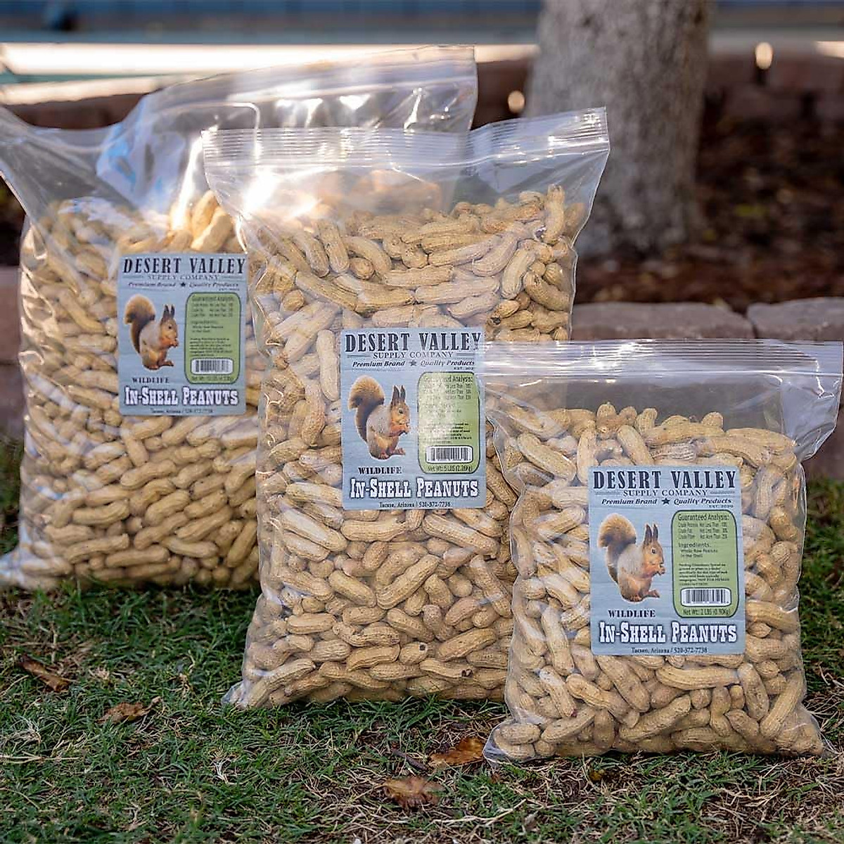 Desert Valley in-Shell Peanuts, All Natural Premium Wild Bird and Wildlife Food for Squirrels, Chipmunks, Cardinals, Jays, Woodpeckers and More (10 Pounds)