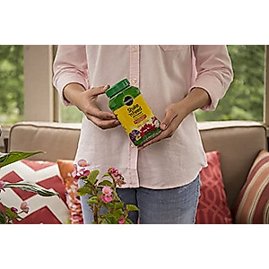 Miracle-Gro Shake 'n Feed All Purpose Continuous Release Plant Food, 1-Pound (Slow Release Plant Fertilizer)