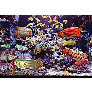 Hikari Usa Tropical Fancy Guppy for Pet Health, Fish Food 1.54oz (2 PACK)