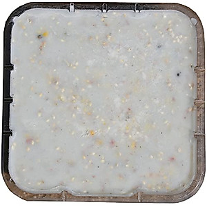 C&S High Energy Suet Treat 11.75 Ounces, 12 Pack