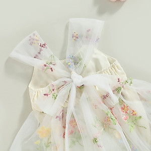 Newborn Baby Girl Embroidered Romper Dress Infant Girls Floral Sleeveless Bodysuit Mesh Tutu Tulle Dresses Summer Outfits (White,6-12 Months)