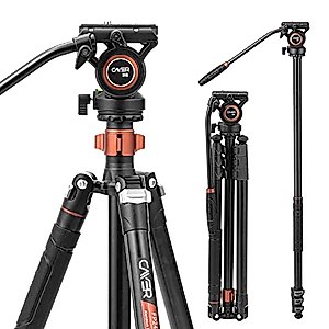 Cayer FP2450 Fluid Head Tripod, 75 inches Aluminium Tripod, 4-Section Compact Camera Tripod Convertible to Monopod for DSLR Camera, Load Capacity up to 13.2 Pounds