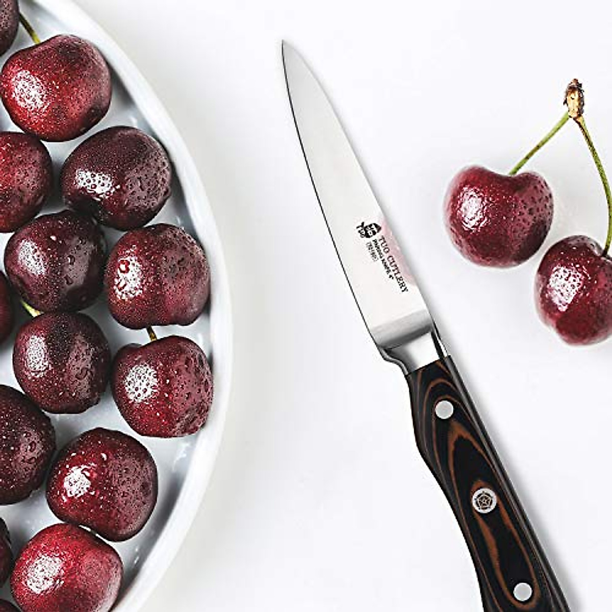 TUO Paring Knife-4 inch Fruit Peeling Paring Knife-German Stainless Steel Small Kitchen Knife-G10 Full Tang Handle-Legacy Series