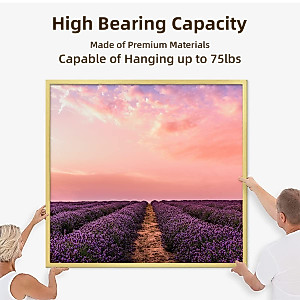 302Pcs Picture Hanging Kit, Heavy Duty Photo Frame Hangers with 10-75lb Hooks, Sawtooth Hardware, Screw Eyes, D Rings, Nails, Screws, Steel Wire for Picture, Painting ,Mirror, Wall Art Mounting