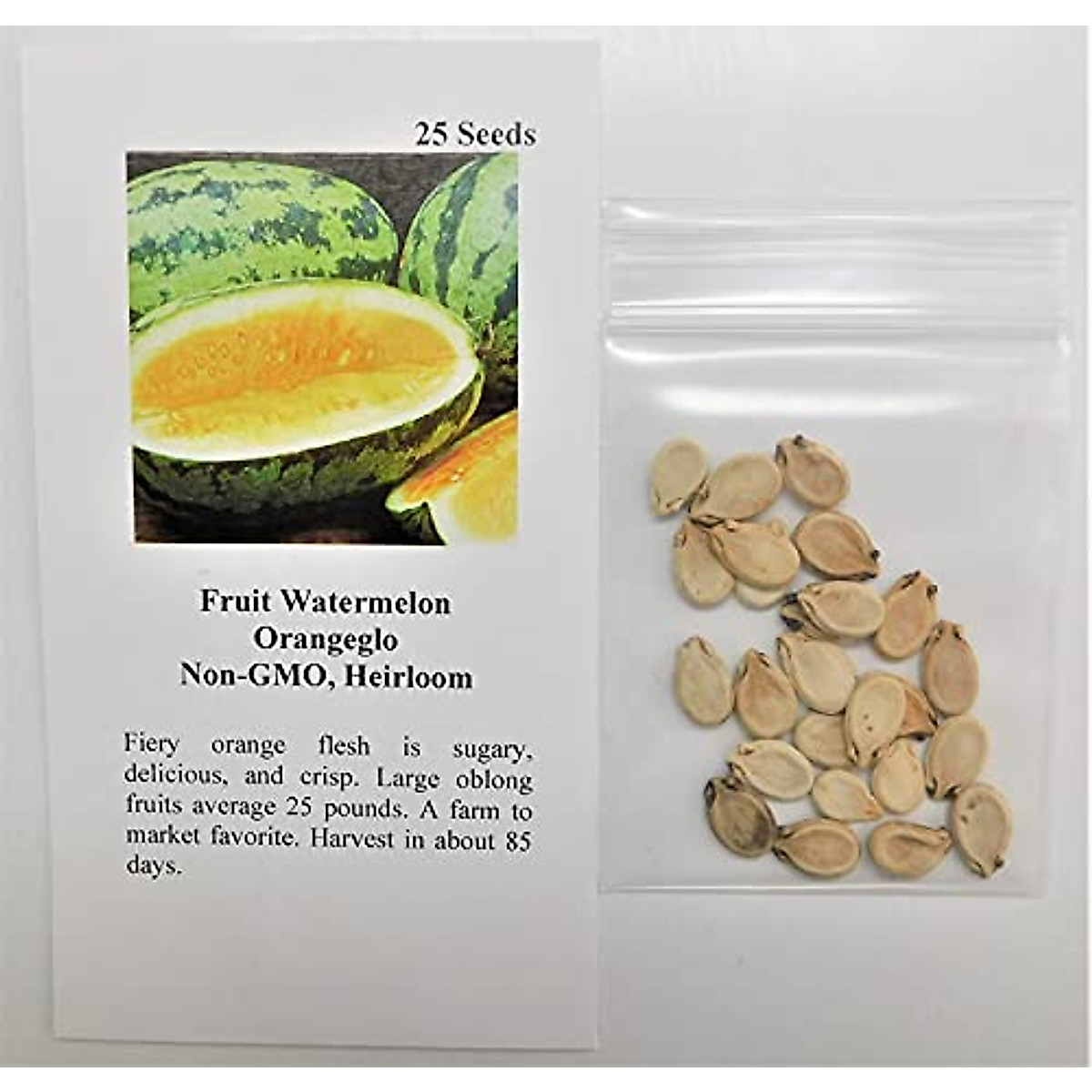 David's Garden Seeds Fruit Watermelon Orangeglo 9384 (Orange) 25 Non-GMO, Heirloom Seeds