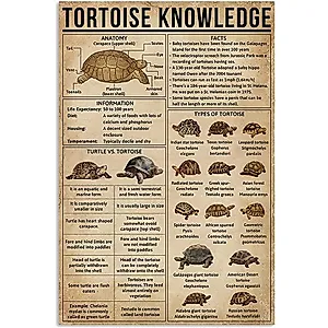 Starotore Anatomy Of A Carapace Canvas Print Painting Tortoise Knowledge Posters Frameless Wall Art Animal Pictures Vintage Wall Decor For Bedroom Bathroom Garden Home Aquarium Decor 12x16inch