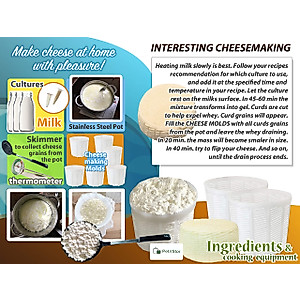 PetriStor 6 Pcs Soft Cheese Mold for Cheese Making 1.85QT - Cheese Making Mold - Cream Cheese Form Mold - Homemade Cheese Making Supplies - Molde Para Queso Fresco Casero - Feta Cheese Making Basket