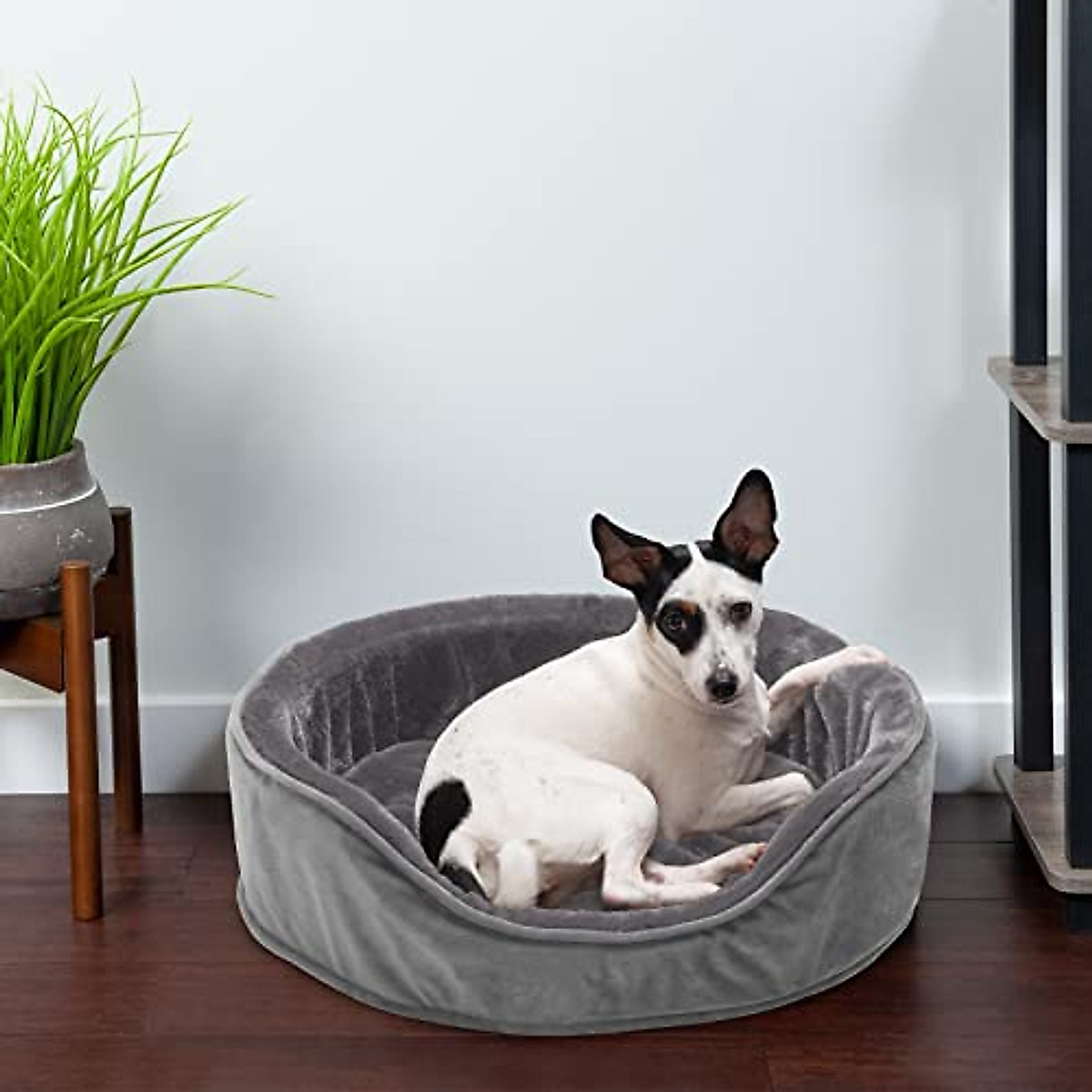 Furhaven Orthopedic Dog Bed for Medium/Small Dogs w/ Removable Washable Cover, For Dogs Up to 18 lbs - Plush & Velvet Oval Lounger - Smoke Gray, Medium