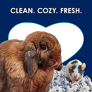Kaytee Clean & Cozy Extreme Odor Control Bedding for Pet Guinea Pigs, Rabbits, Hamsters, Gerbils, and Chinchillas, 24.6 Liters