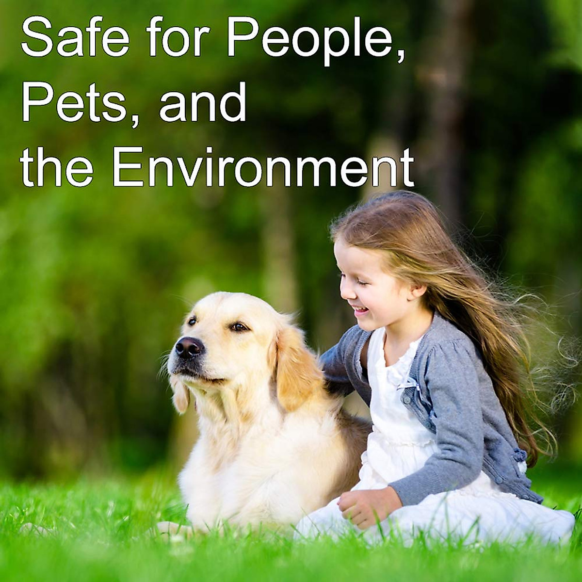 Natural Armor Weed and Grass Killer All-Natural Concentrated Formula. Contains No Glyphosate (1 Case of 4 Gallon Refills)