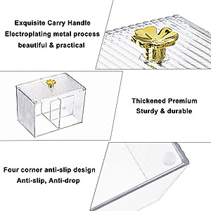 SHAIDOJIO Qtip Holder, Cotton Swabs Holder, Clear Modern Bathroom Organizer, Apothecary Jars with Lids, 3 Grids Separate Vanity Storage Jars for Cotton Ball, Swabs, Floss, Makeup Sponges(Style A)