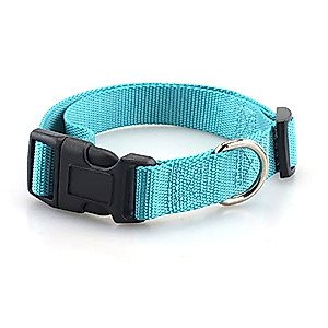VIWIK Dog Collar with Safety Locking Buckle, Adjustable Durable Pet Collars for Small Medium Dogs, Heavy Duty Basic Collar Nylon Pet Collar, Teal-M