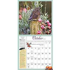 Audubon Birds in the Garden Wall Calendar 2021