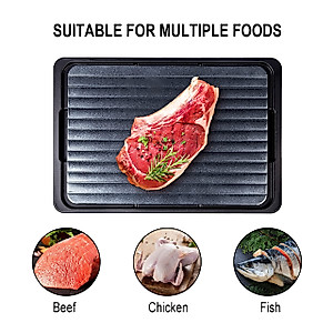 Generic Fast Defrosting Tray Frozen Meat, Heat Conduction Tray, Thawing Board Frozen Food, Thaw master tray non electrical, large drip tray, Oil Brush, Food Tong, Cleaning Sponge and Ice Cream Spoon