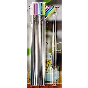 Polkadot Weasel Company Set of 8 Stainless Steel Straws, Silicon Tips, and 2 Cleaning Brushes (10.5 inch w/o travel container)