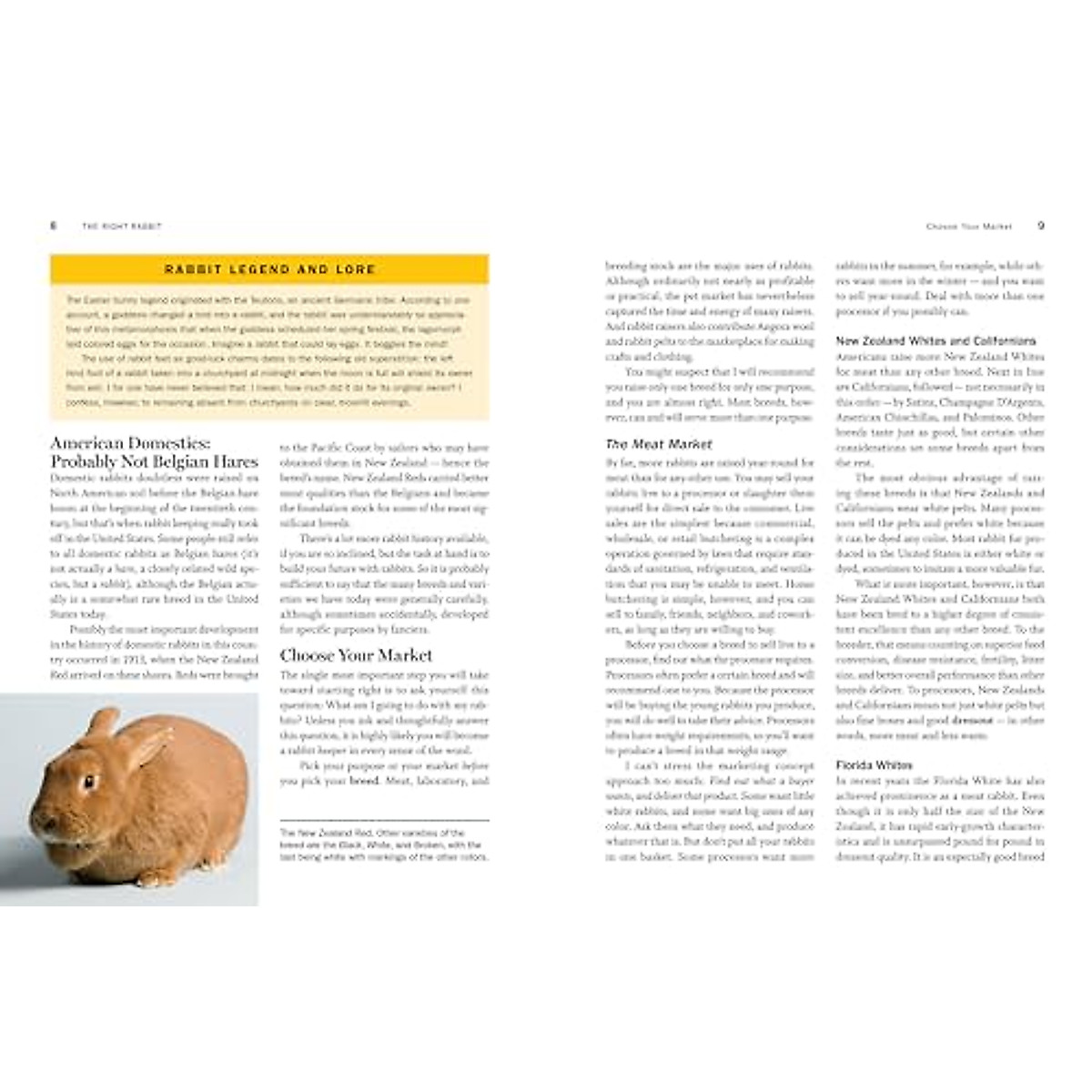 Storey's Guide to Raising Rabbits, 5th Edition: Breeds, Care, Housing