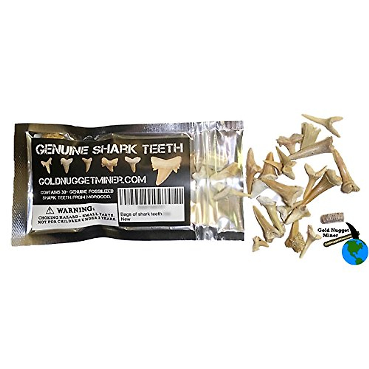 Bag of Genuine Shark Teeth - Fossilized Moroccan Teeth!