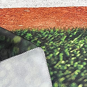 Riyidecor Green Baseball Field Backdrop Fabric Polyester Stadium 7Wx5H Feet Photography Background Art Fabric Booth for Children Decorations Birthday Festival Event Props Party Photo Studio Shoot